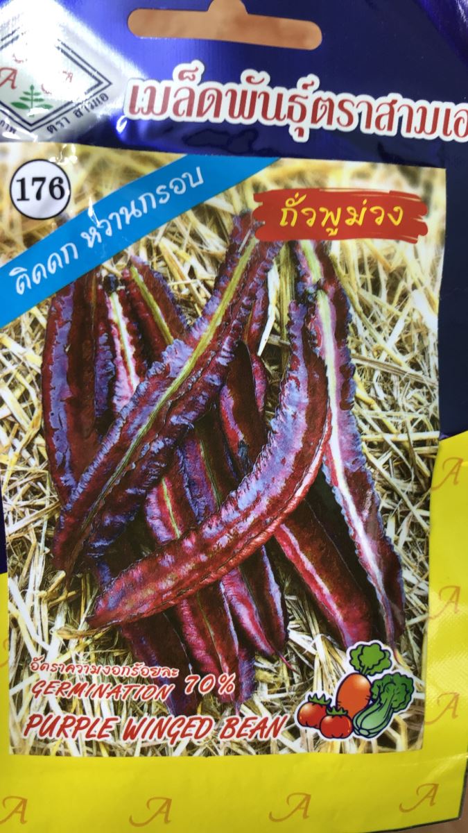 Hạt Giống Đậu Rồng Tím
