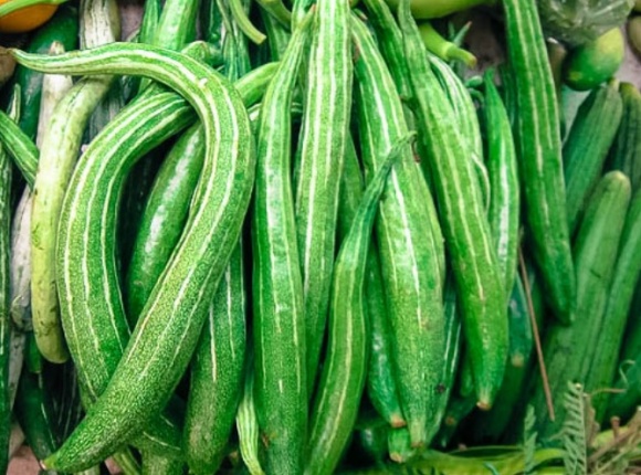 Hạt Giống Quả Lặc Lày( mướp Nhật, mướp mèo)